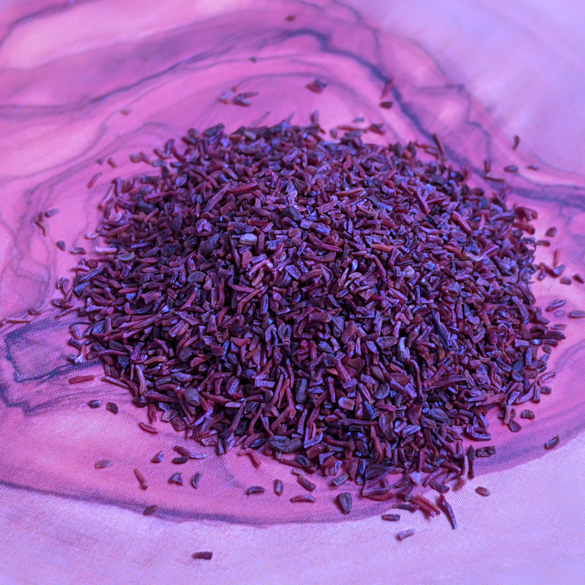 Eucalyptus grandis (Rose Gum Tree) 150 - 10,000 Seeds | £2.99 - £99.99 ...